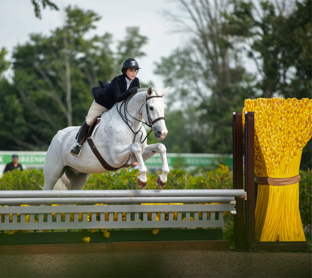 About - OHJA Ontario Hunter Jumper Association