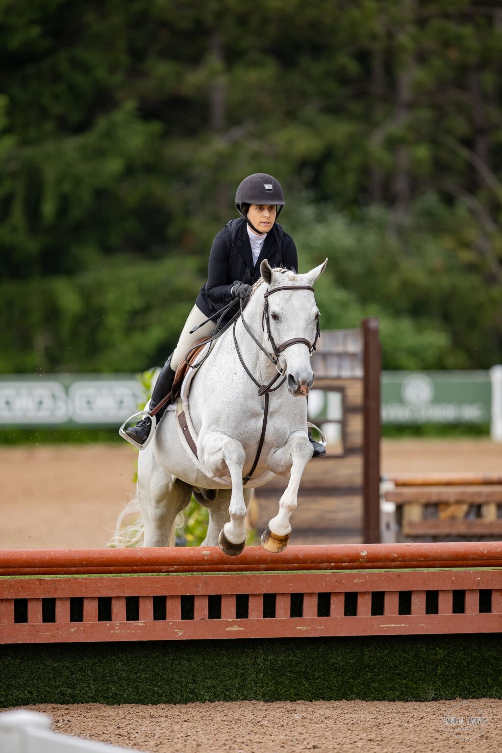 OHJA Beginner Child/Adult Hunter Division - OHJA Ontario Hunter Jumper ...