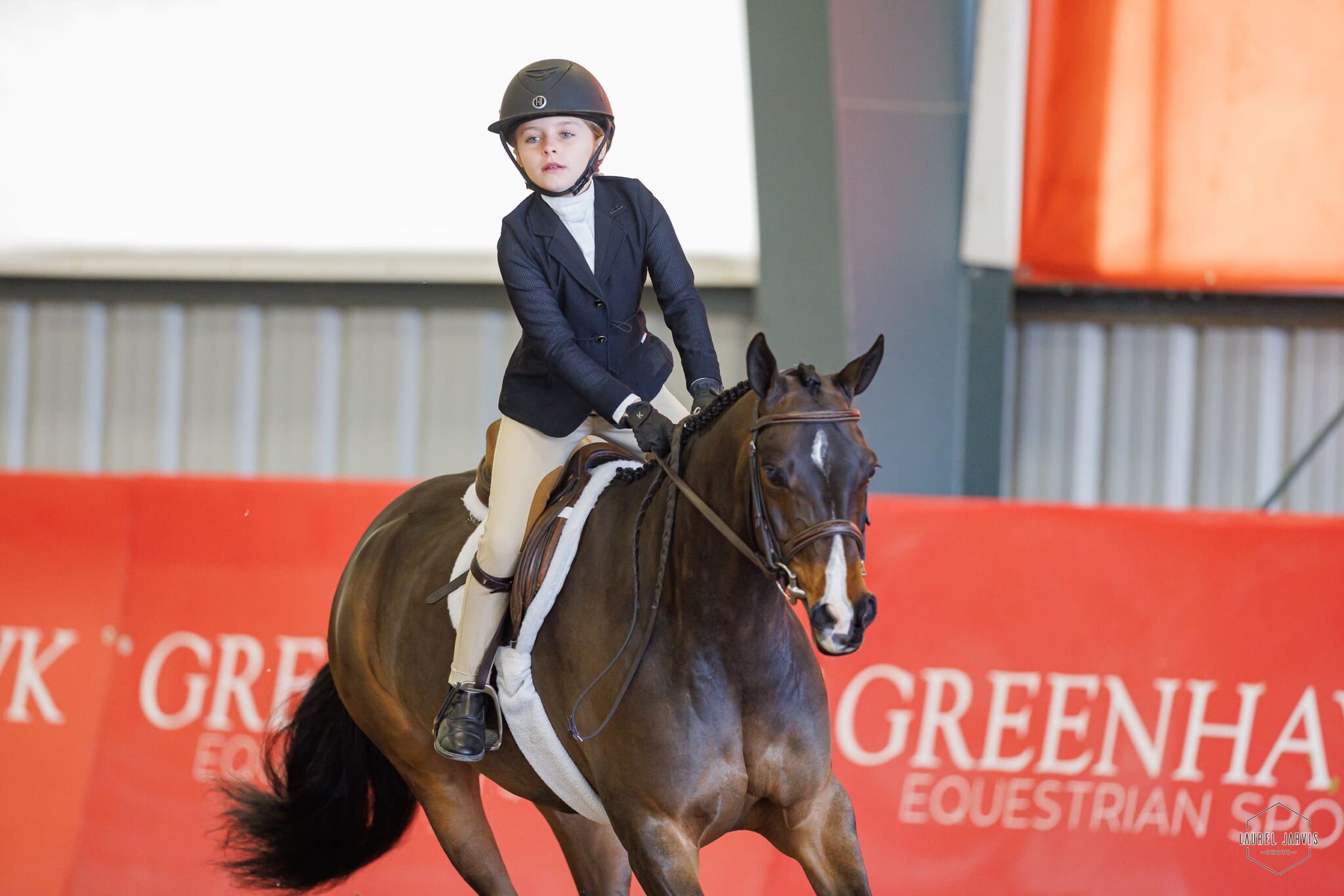 OHJA Short Stirrup Hunter Division - OHJA Ontario Hunter Jumper Association